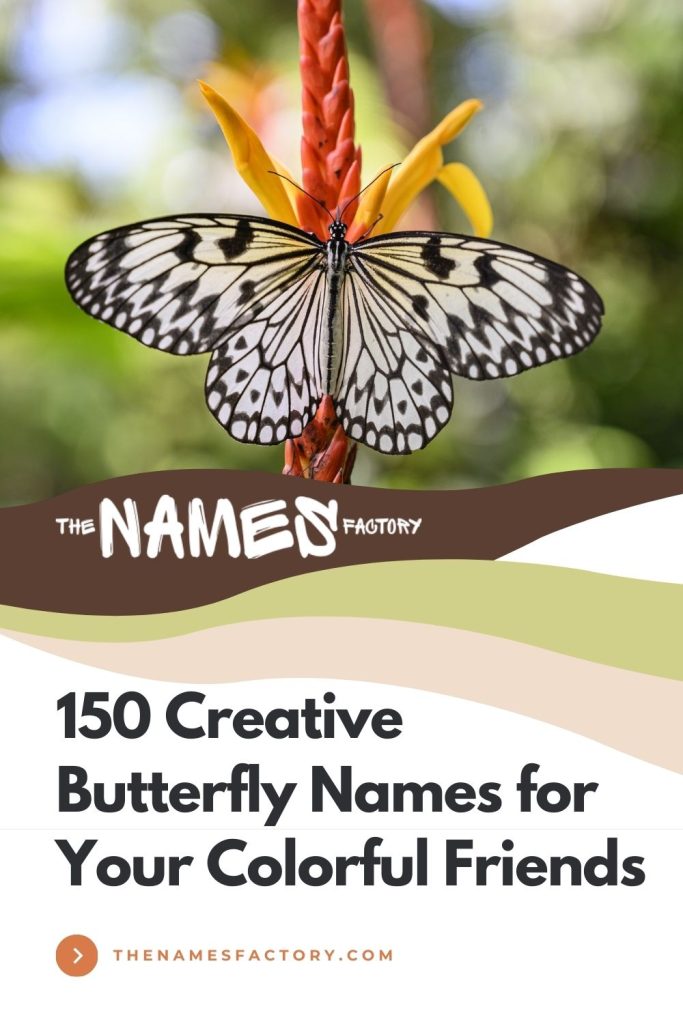 150+ Unique Butterfly Names to Discover