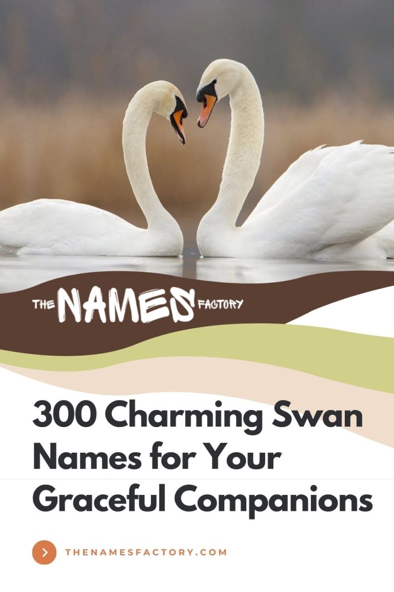 +300 Most Beautiful Swan Names for Your Birds