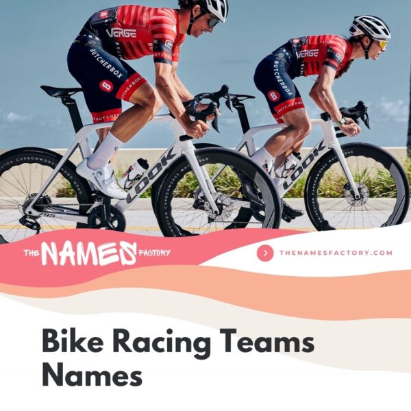 550+ Racing Team Names for Speed Enthusiasts