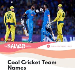 240+ Top Cricket Team Names for Your Squad