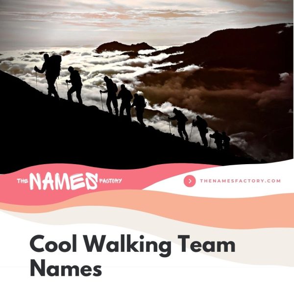 205+ Best Walking Team Names for Your Next Adventure