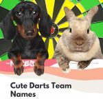 740 Hilarious Darts Team Names for Your Squad
