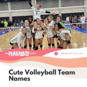 480+ Funny Volleyball Team Names [Top Names for Your Squad]