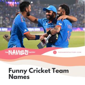 240+ Top Cricket Team Names for Your Squad