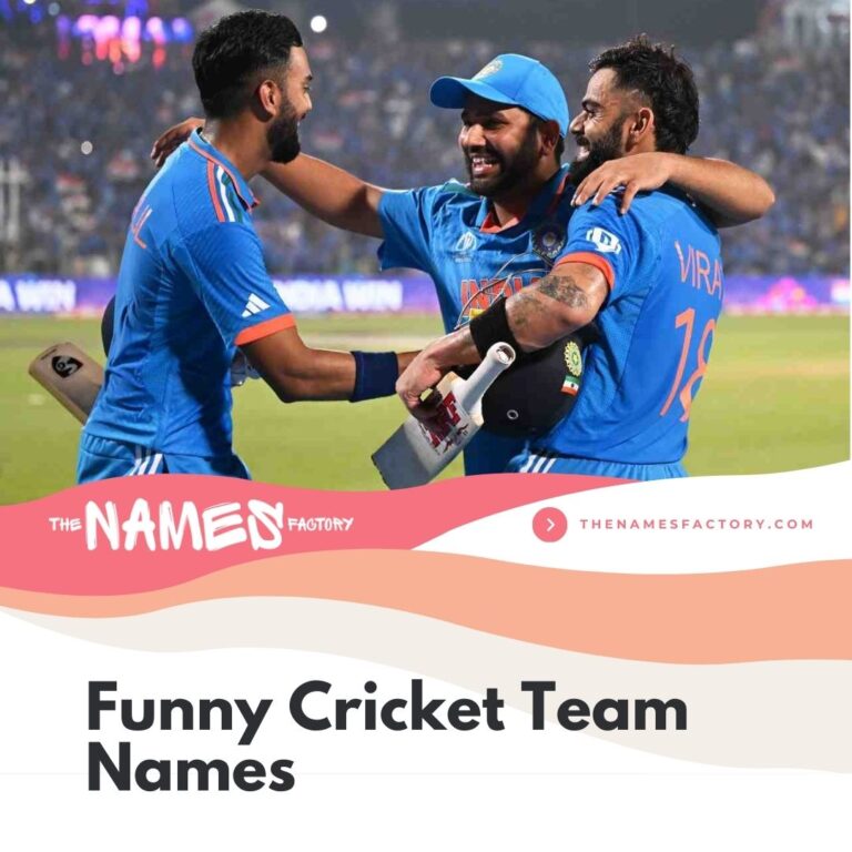 240+ Top Cricket Team Names for Your Squad