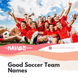 420+ Soccer Team Names Ideas [Funny, Clever, Popular & More]