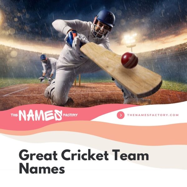 240+ Top Cricket Team Names for Your Squad