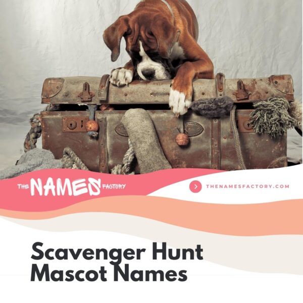 270+ Best Scavenger Hunt Team Names for Adventure Seekers