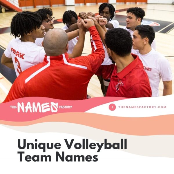 480+ Funny Volleyball Team Names [Top Names for Your Squad]