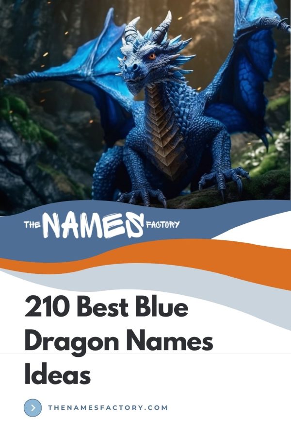 210+ Blue Dragon Names [Mythological, Powerful & More]