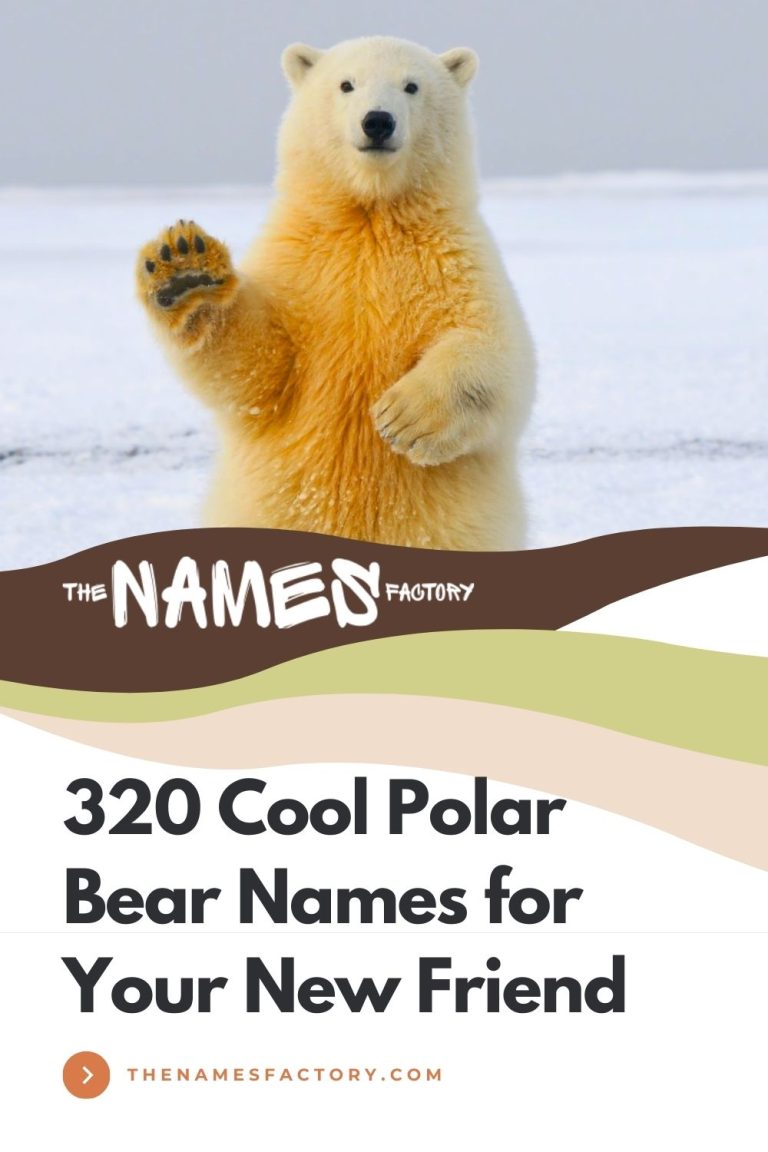 320+ Best Polar Bear Names for Your Snowy Buddy