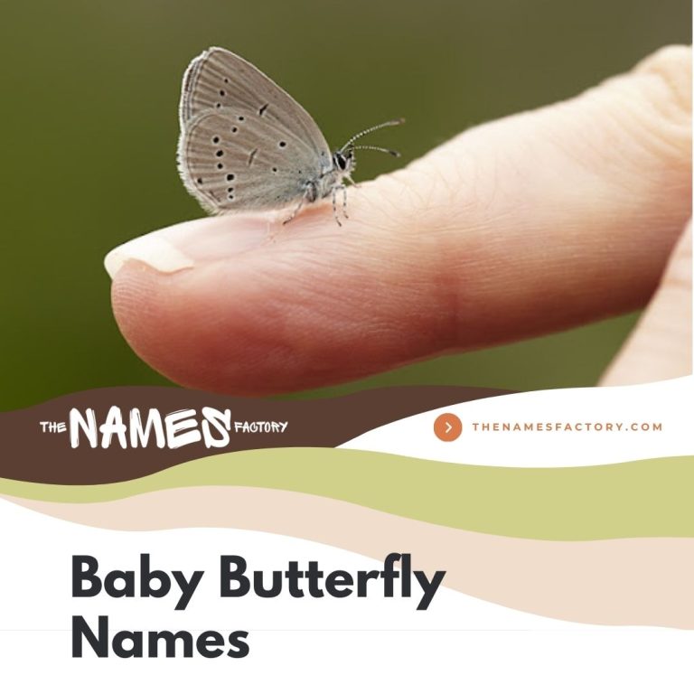 150+ Unique Butterfly Names to Discover