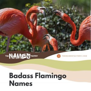 300+ Fantastic Flamingo Names Ideas for Your Lovely Bird