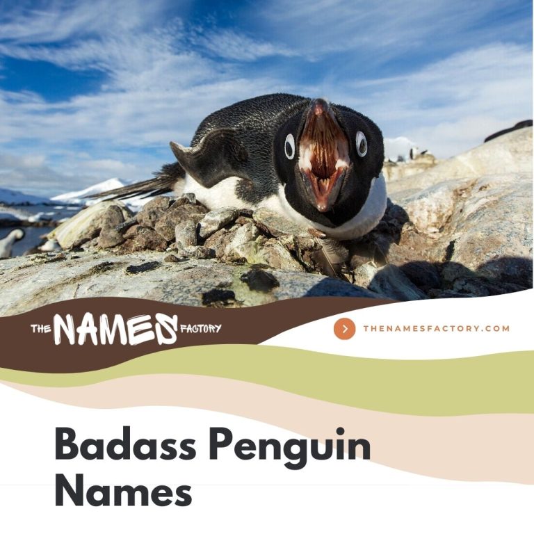 310+ Most Popular Penguin Names Ideas