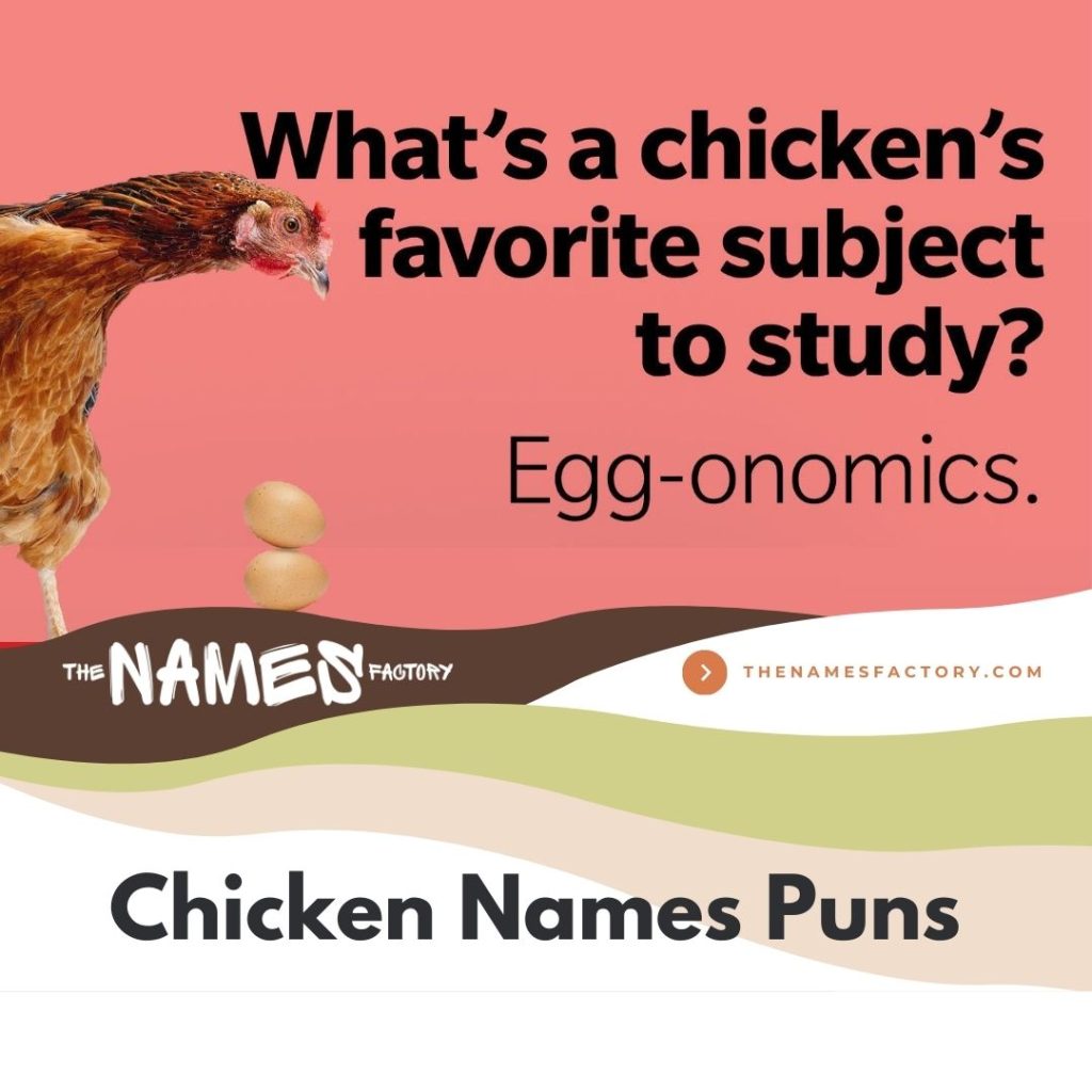 410+ Creative Chicken Names for Your Feathered Friends