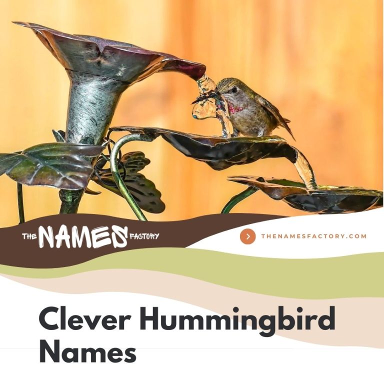 290+ Hummingbird Names Ideas [Creative, Funny & More]