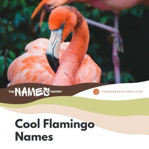 300+ Fantastic Flamingo Names Ideas for Your Lovely Bird