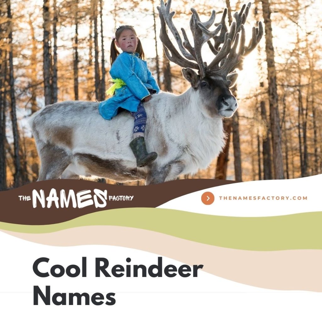 230+ Fun Reindeer Names - Perfect for the Holidays!
