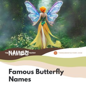150+ Unique Butterfly Names to Discover