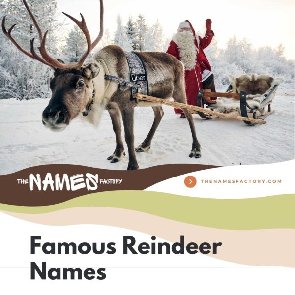 230+ Fun Reindeer Names - Perfect for the Holidays!