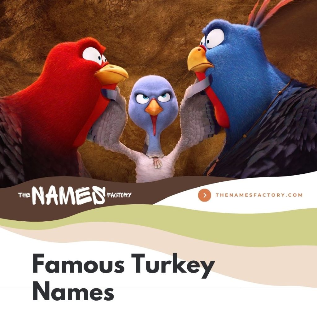 300+ Best Turkey Names for Your Feathered Pet