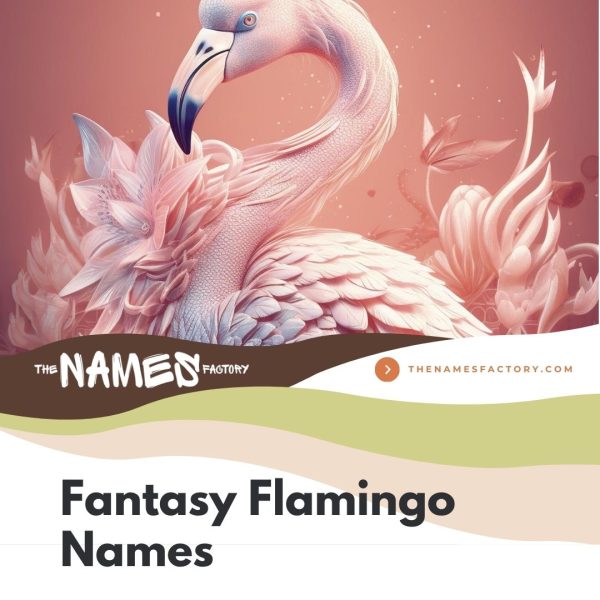 300+ Fantastic Flamingo Names Ideas for Your Lovely Bird