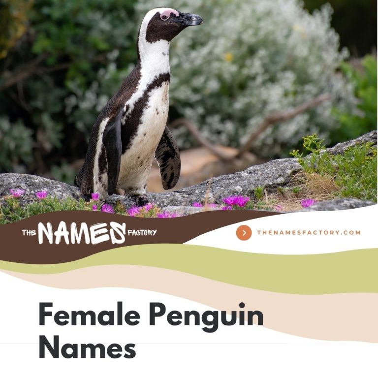 310+ Most Popular Penguin Names Ideas
