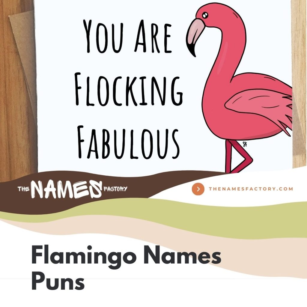 300+ Fantastic Flamingo Names Ideas for Your Lovely Bird