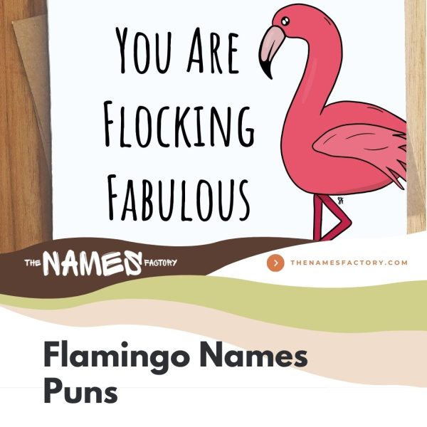 300+ Fantastic Flamingo Names Ideas for Your Lovely Bird