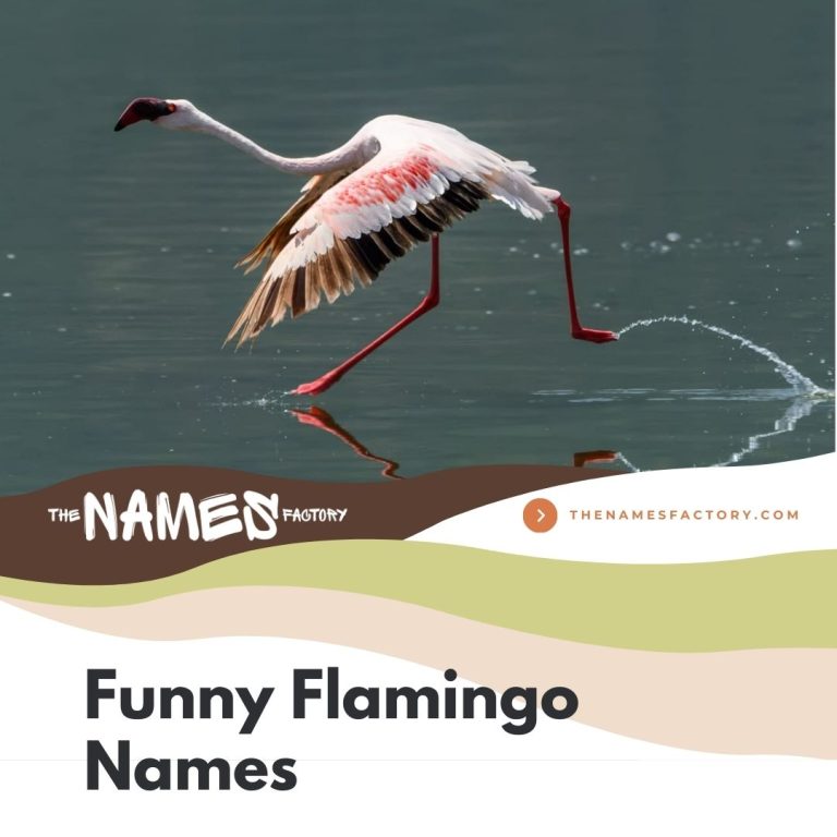 300+ Fantastic Flamingo Names Ideas for Your Lovely Bird
