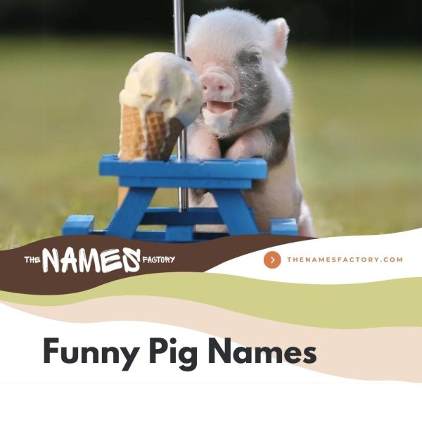 225+ Pig Names To Get Inspired for Your Porcine Pal!