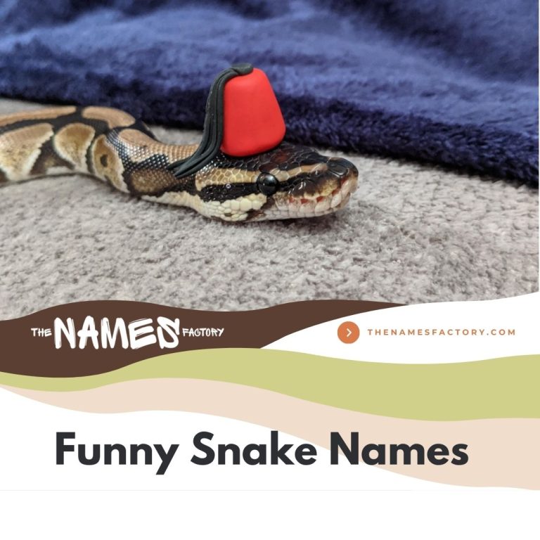 240+ Best Snake Names Ideas with Meanings