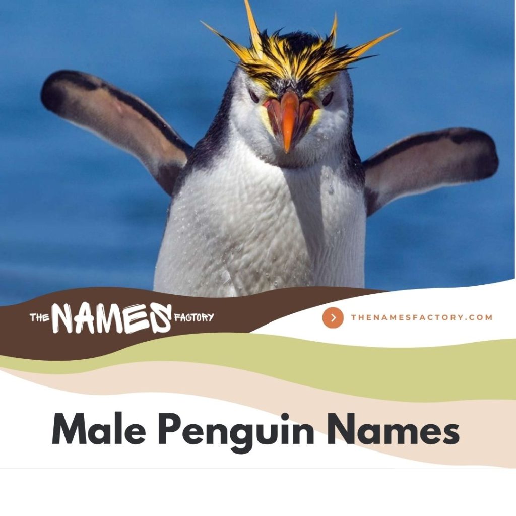 310+ Most Popular Penguin Names Ideas