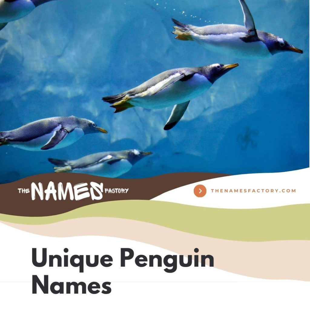 310+ Most Popular Penguin Names Ideas