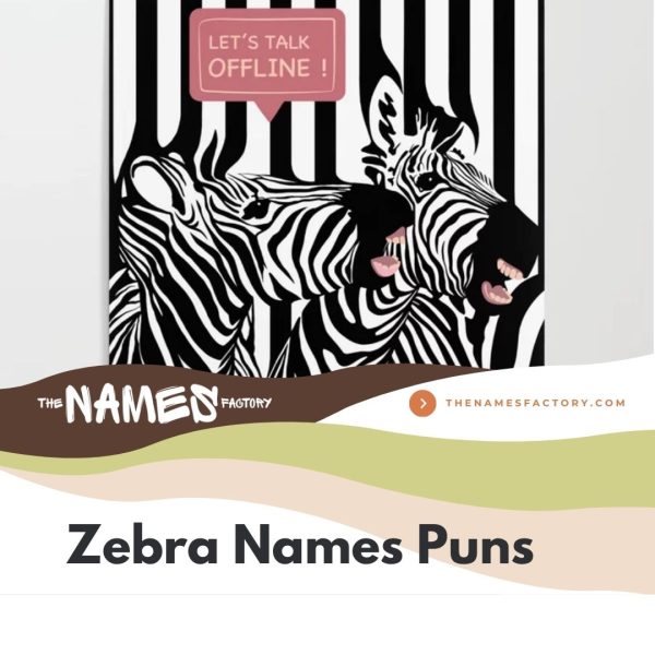 290+ Quirky Zebra Names Ideas for Your Striped Friends