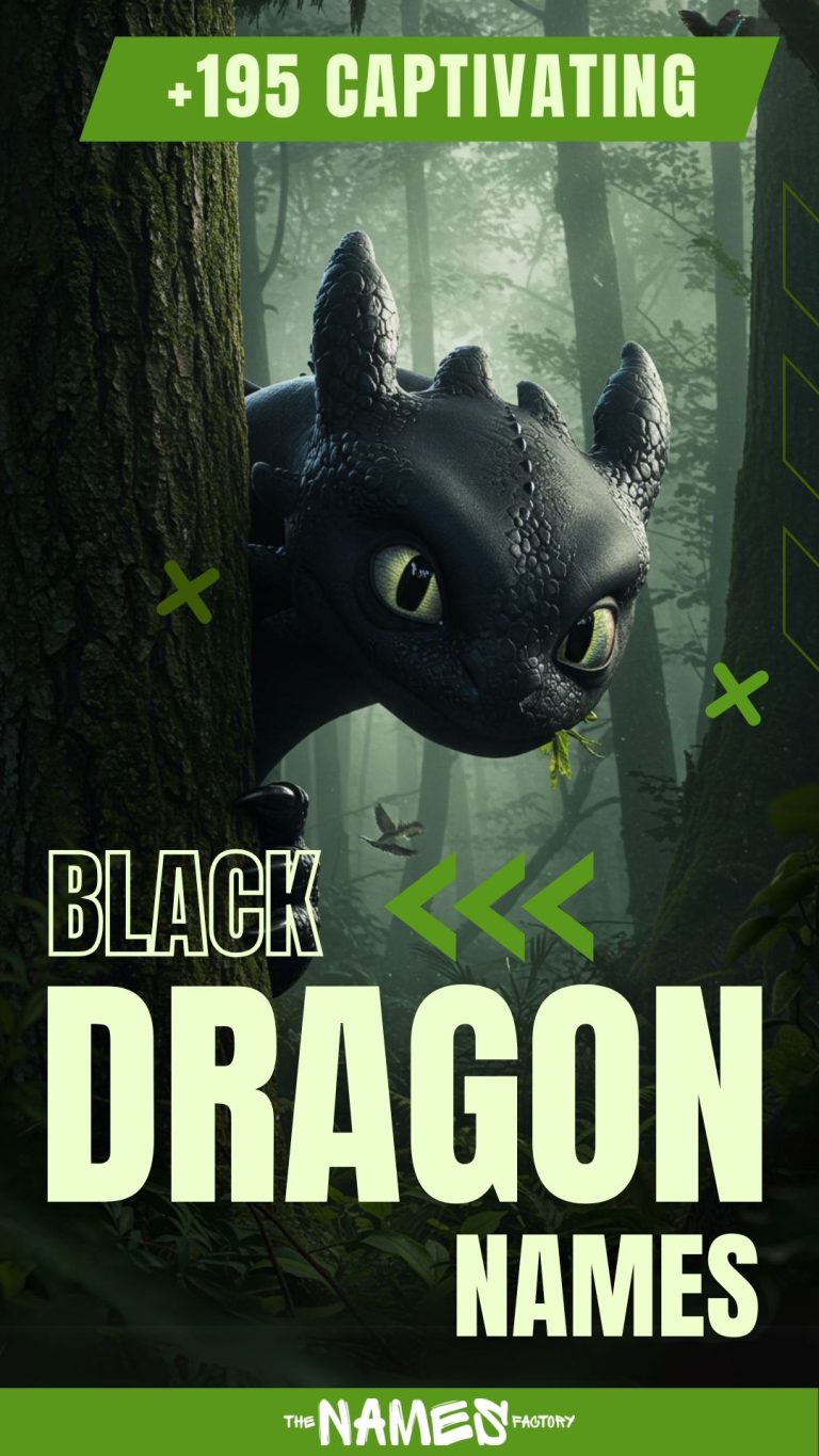 195+ Mythical Black Dragon Names Ideas
