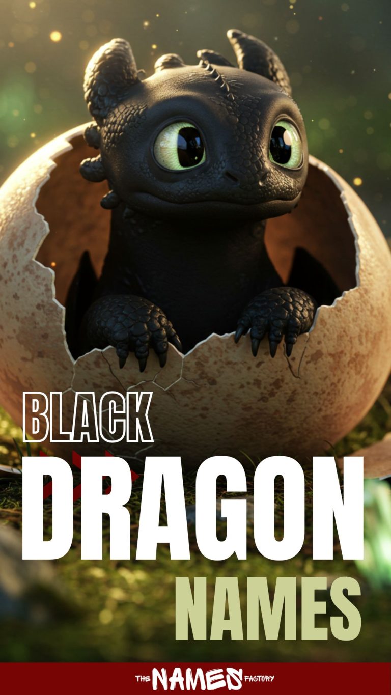 195+ Mythical Black Dragon Names Ideas