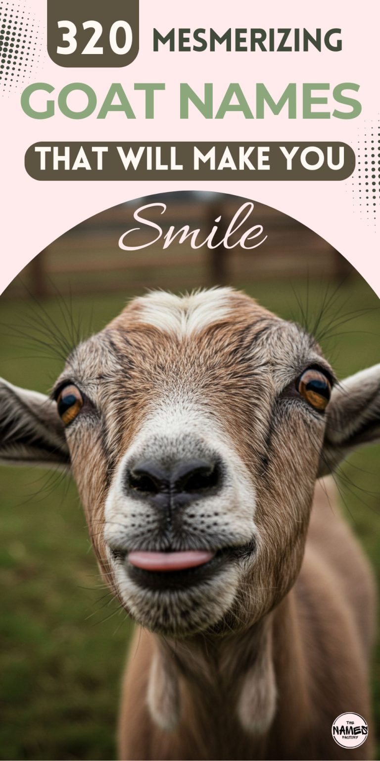 320+ Goat Names For Naming Your News Pet