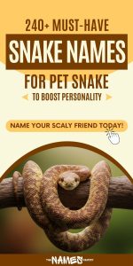 240+ Best Snake Names Ideas with Meanings