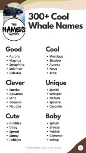 300+ Catchty & Cool Whale Names Ideas