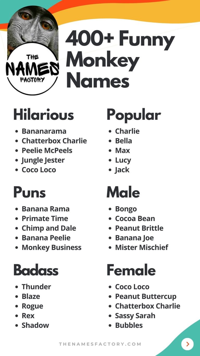 400+ Funny Monkey Names for Primate Puns