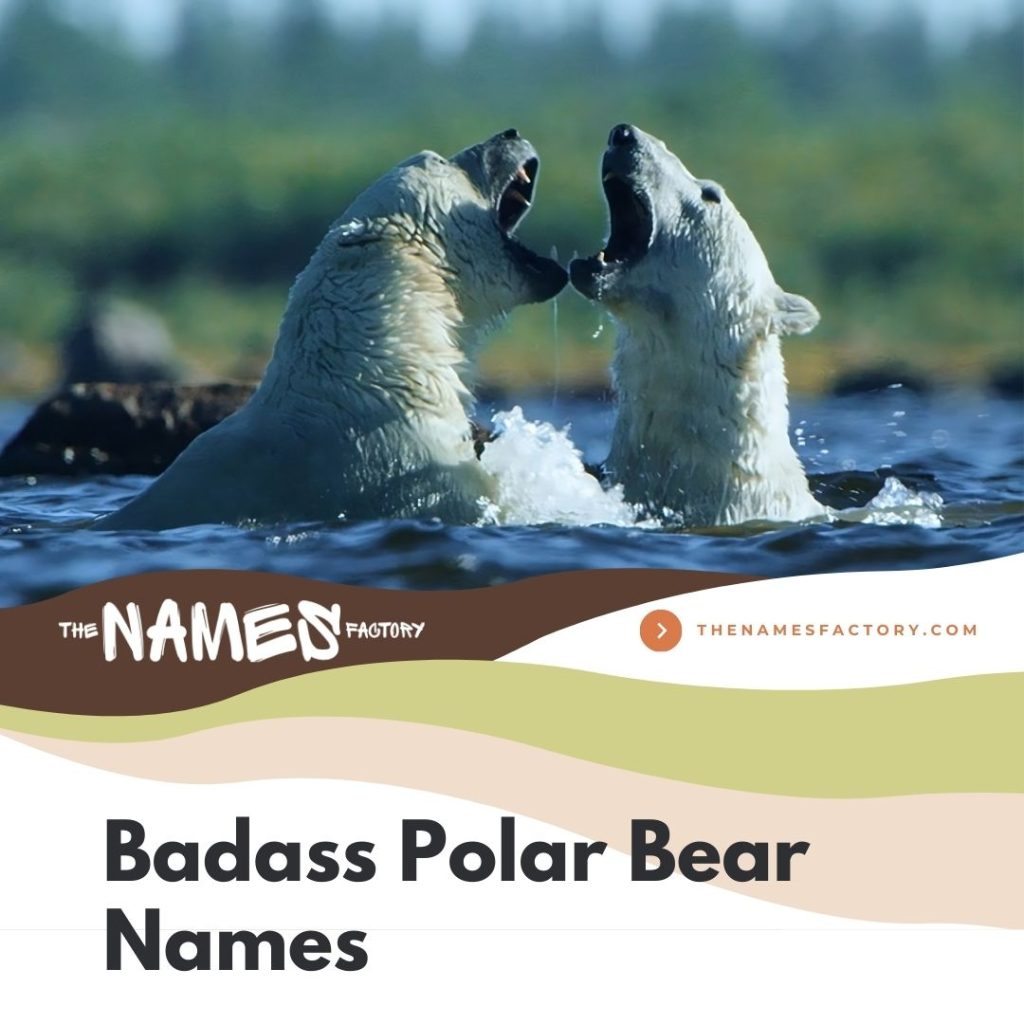 320+ Best Polar Bear Names for Your Snowy Buddy