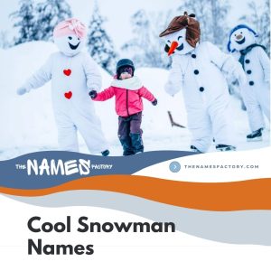 265+ Snowman Names Ideas (Funny, Clever, Famous & More)