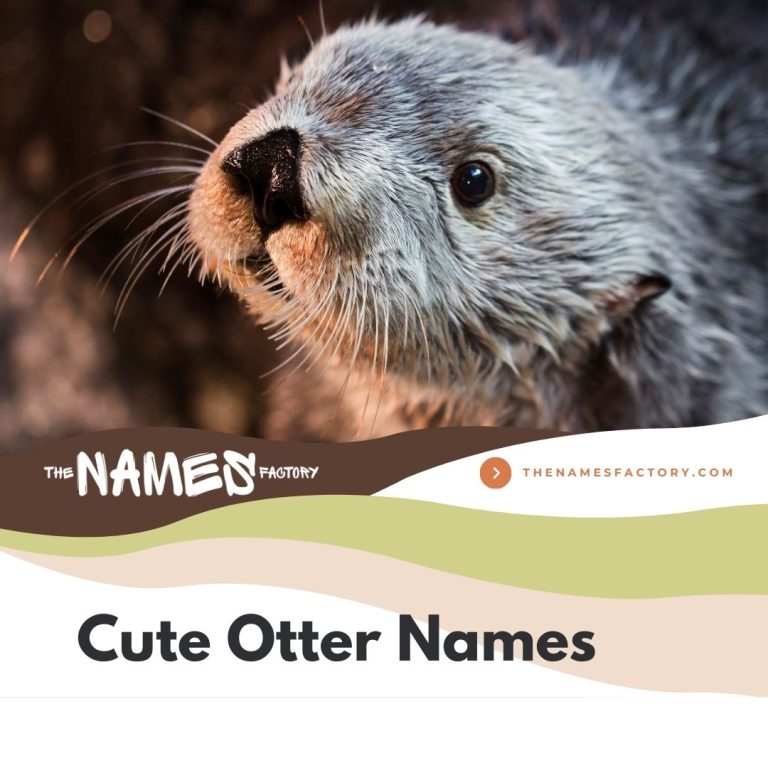 225+ Cool & Catchy Otter Names