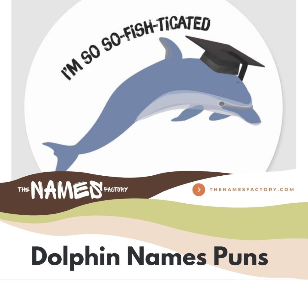 225+ Dolphin Names Ideas for Your Clever Aquatic Friend