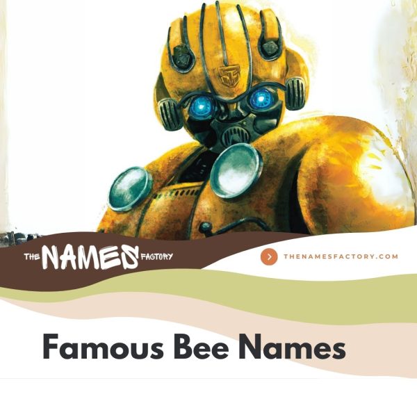 150+ Creative Bee Names for Your Little Friends