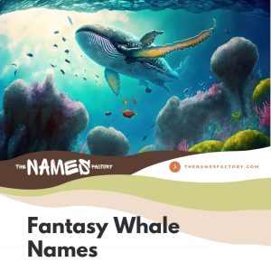 300+ Catchty & Cool Whale Names Ideas
