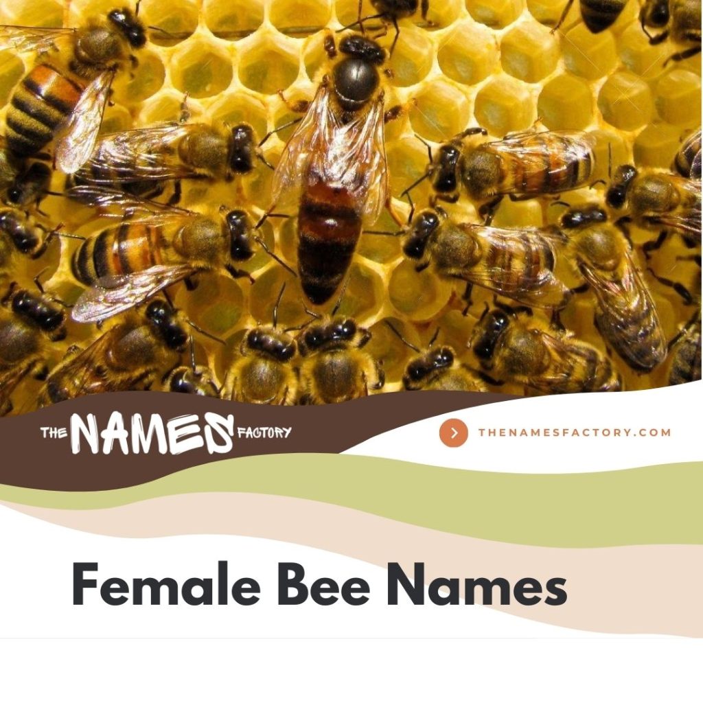 150+ Creative Bee Names for Your Little Friends