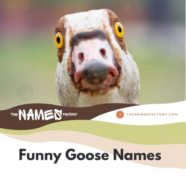 300+ Creative Goose Names Ideas for Your Furry Pet