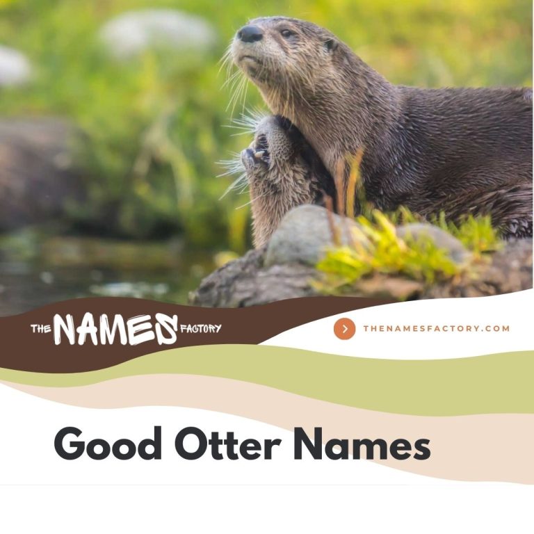 225+ Cool & Catchy Otter Names